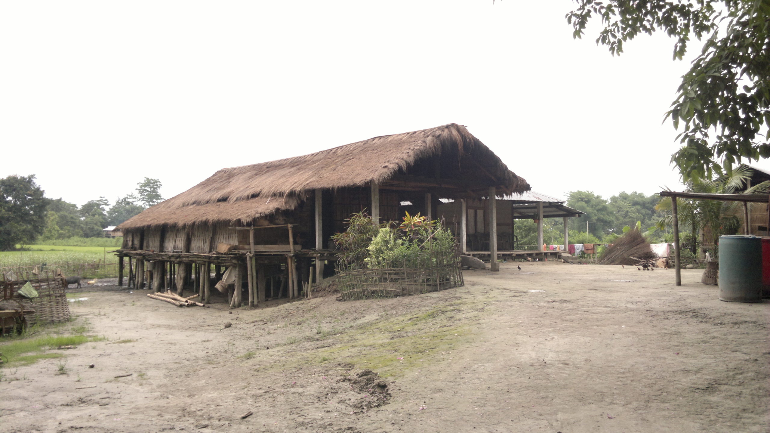 Majuli and its case for world heritage status – Dr Sanjib Kumar Borkakoti